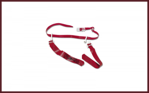 Best Flag Football Belts Review: Flag a Tag vs Triple Threat (2023 ...